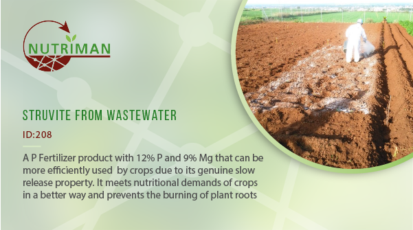 Struvite Fertilizer