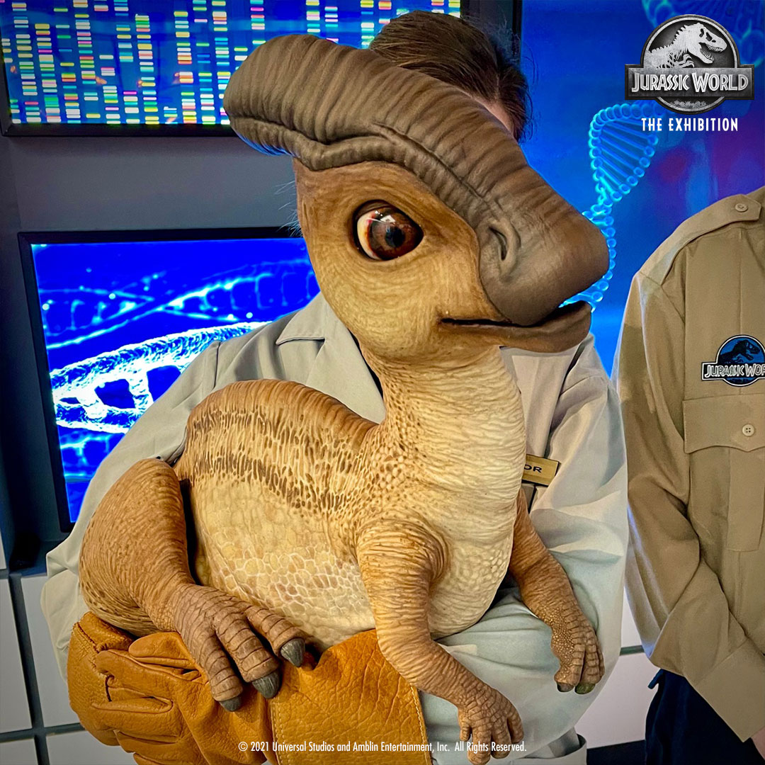 Baby Parasaurolophus