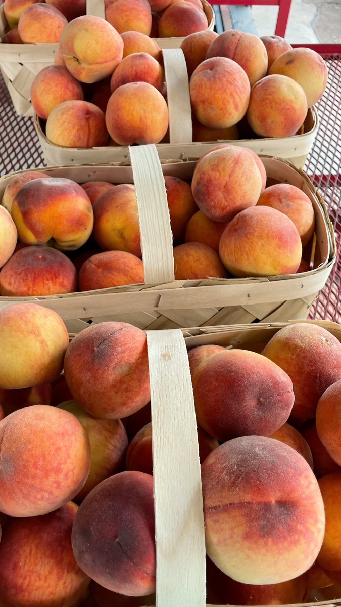 South Carolina Department of Agriculture