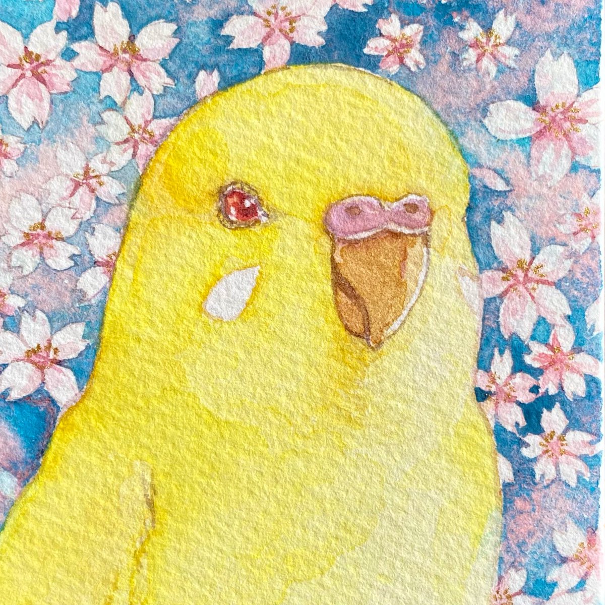 keko (@keko_birdlove) さんのイラスト・マンガ作品まとめ (8 件) - Twoucan