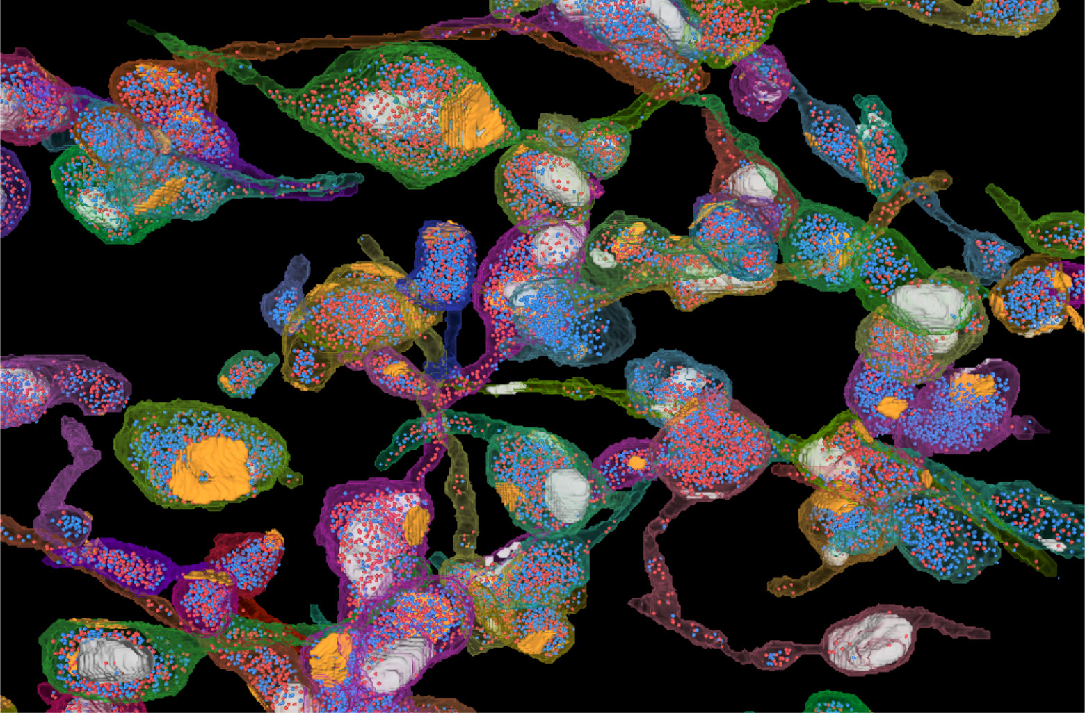 Neural Computation Lab on Twitter: "Want to identify active synapses or estimate synaptic ...