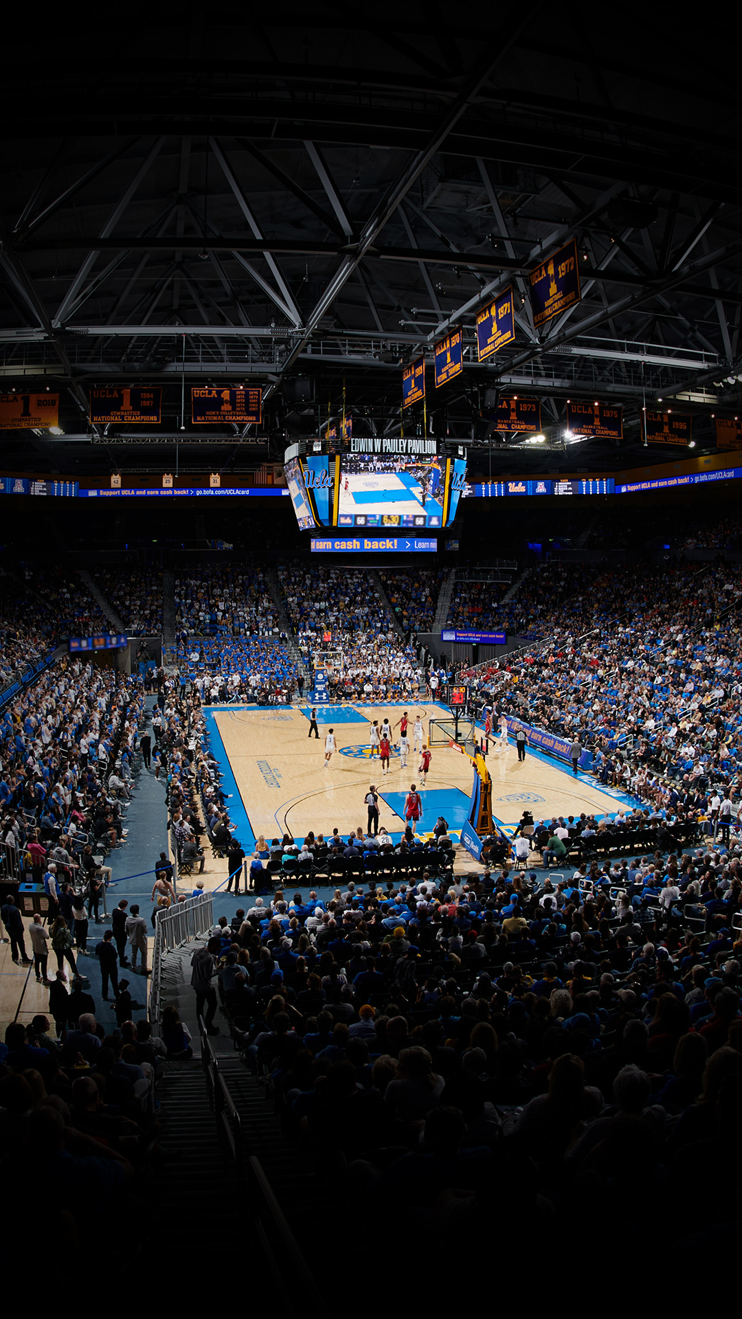 Ucla Basketball Court
