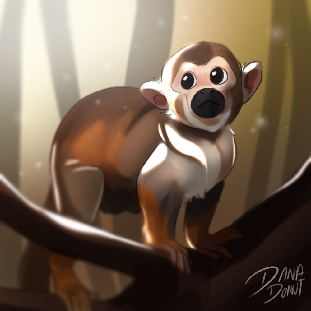 Squirrel Monkey Cartoon