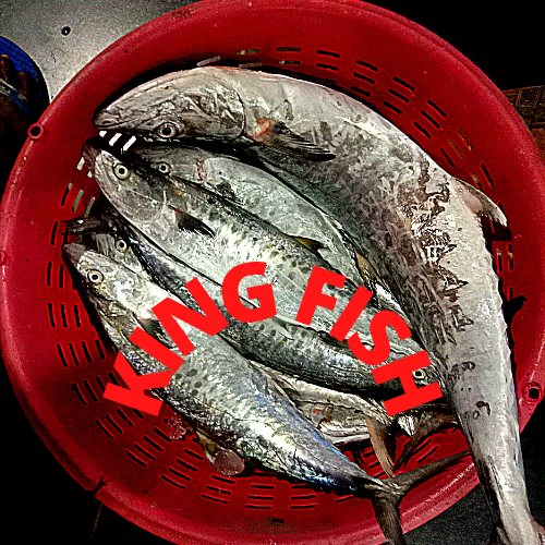 Ikan Kayu in Cebuano - NatalyaxJohns