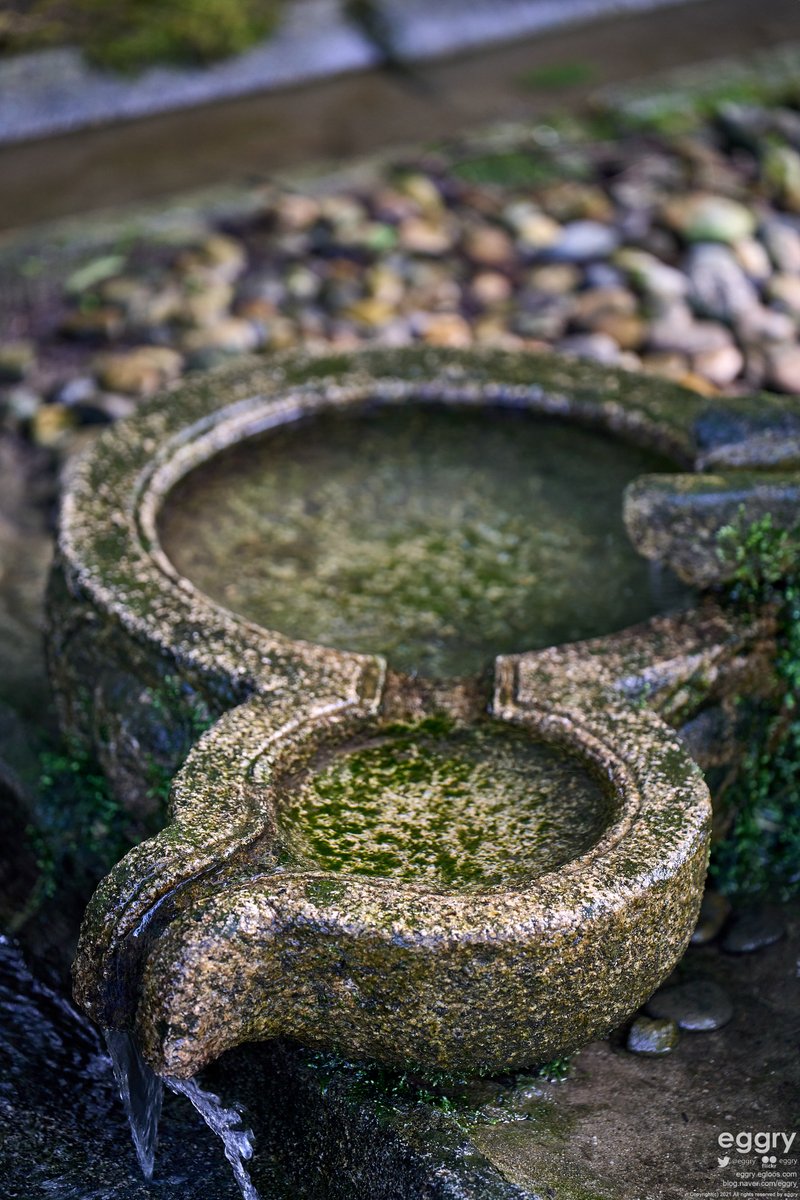 eggry on Twitter: "20210714 #세미원 #양평두물머리 #양평…