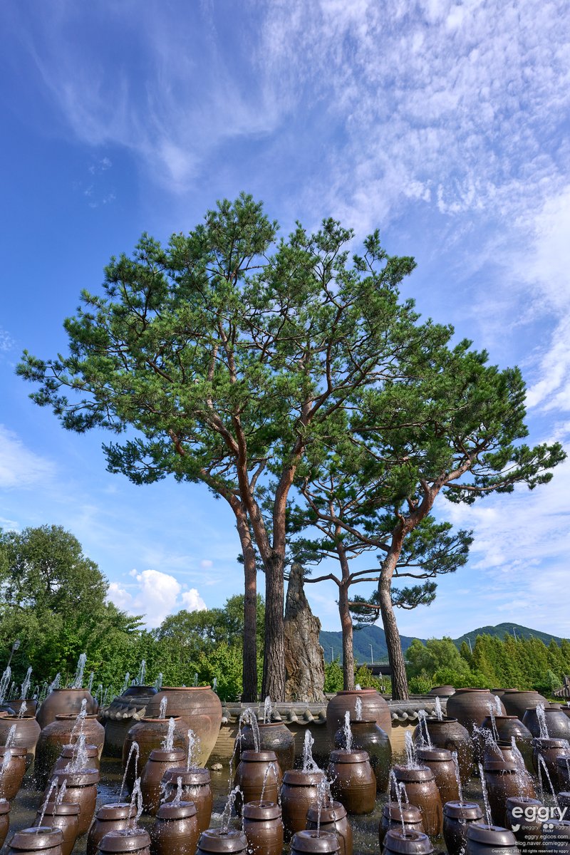 eggry on Twitter: "20210714 #세미원 #양평두물머리 #양평…