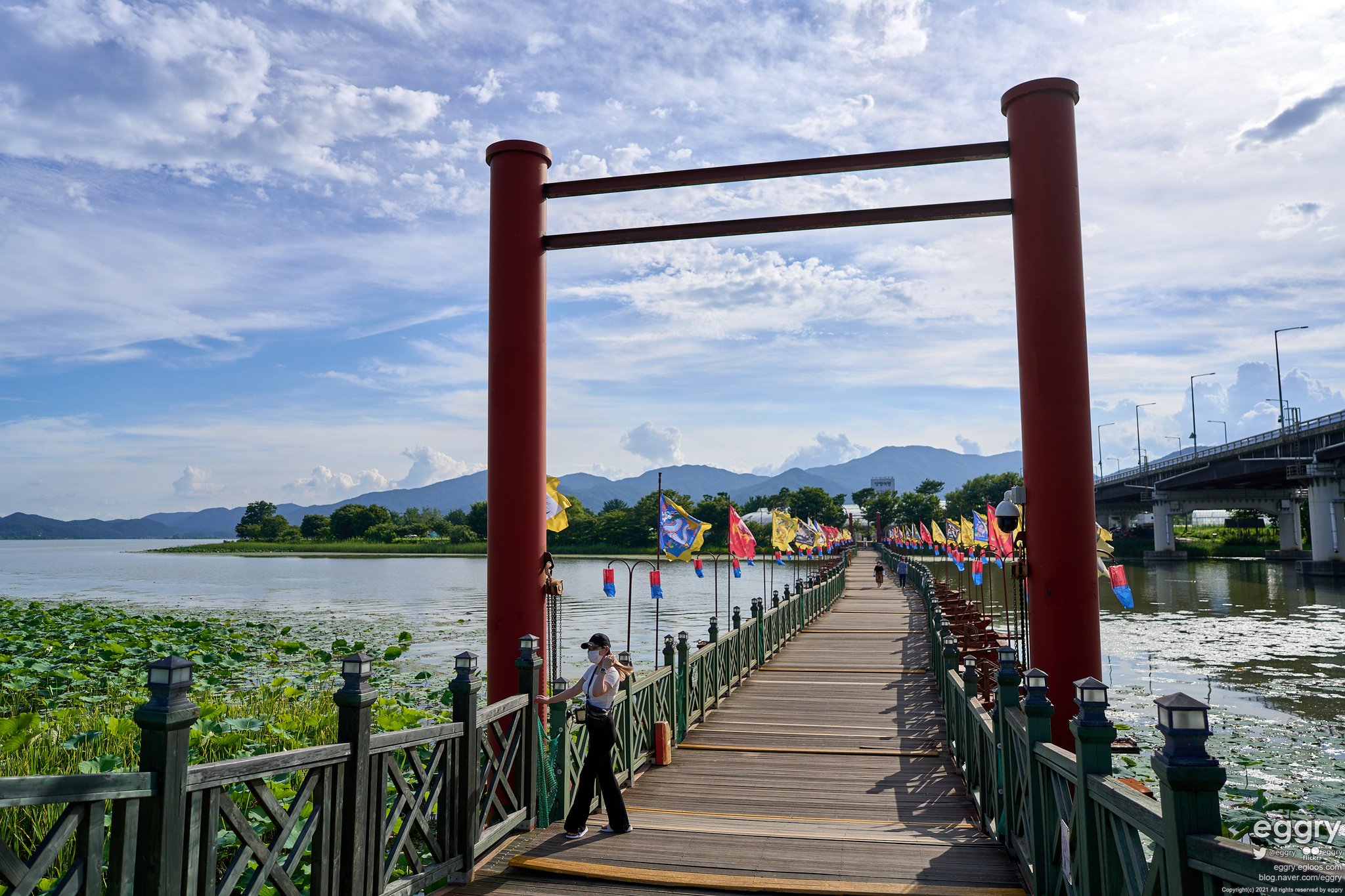 eggry on Twitter: "20210714 #세미원 #양평두물머리 #양평…