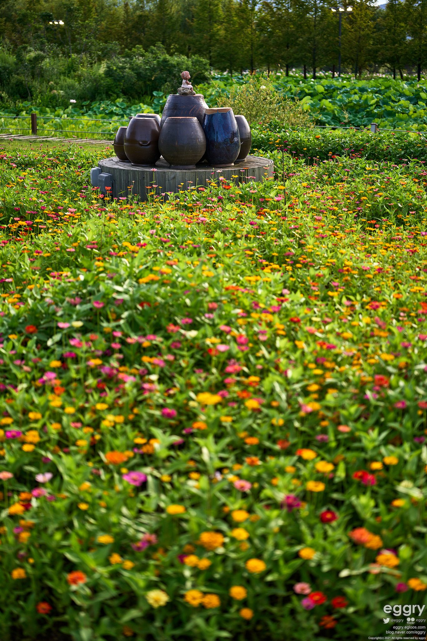 eggry on Twitter: "20210714 #세미원 #양평두물머리 #양평…