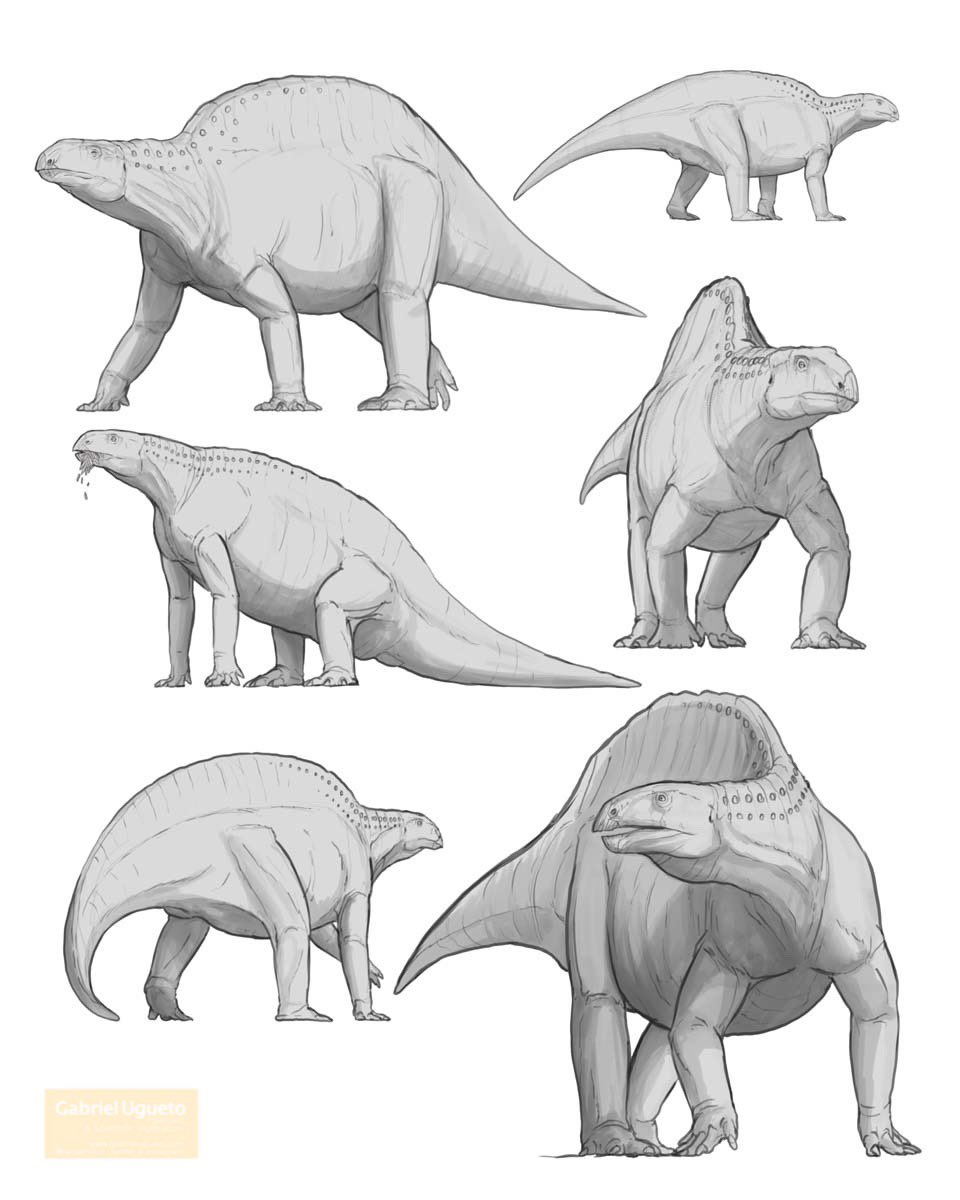 Lotosaurus