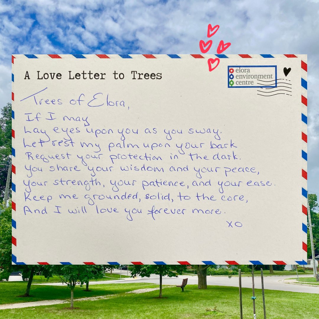 Elora Environment Centre on Twitter: "A lovely Love Letters to Trees ...