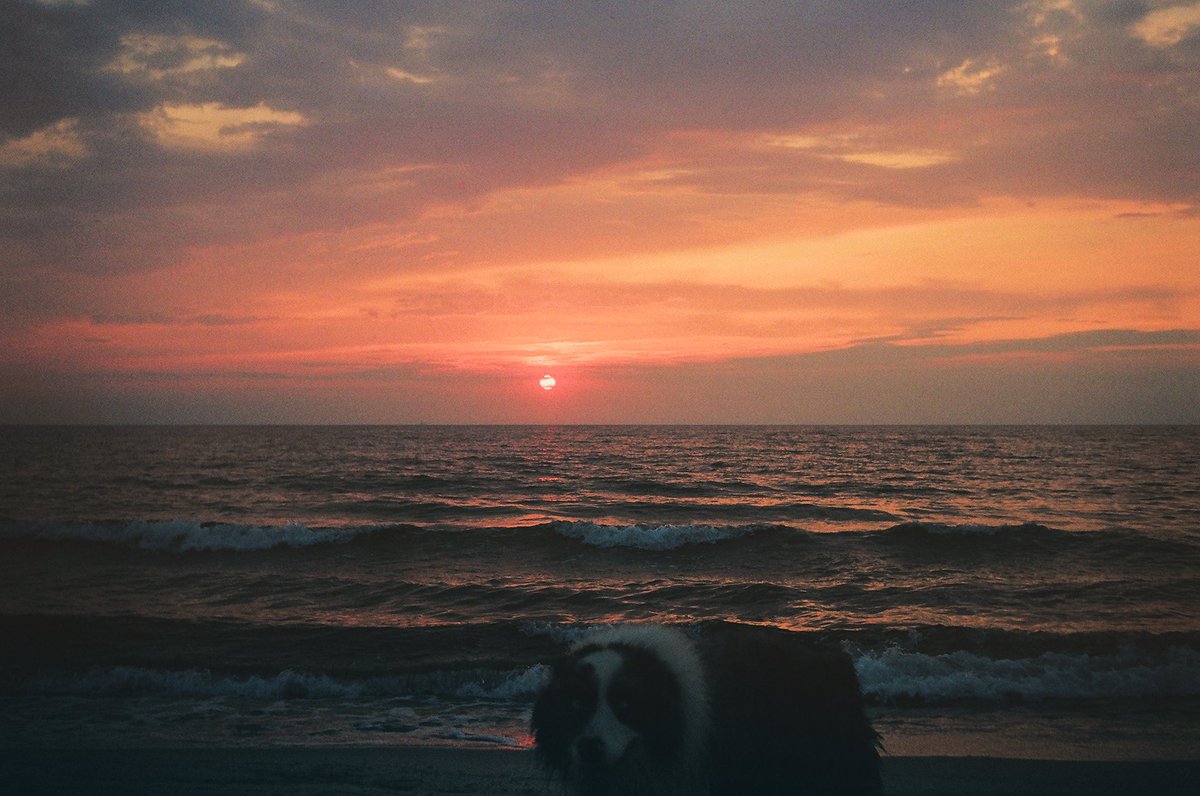 Twoucan - 6VCR (@sixveeceear)