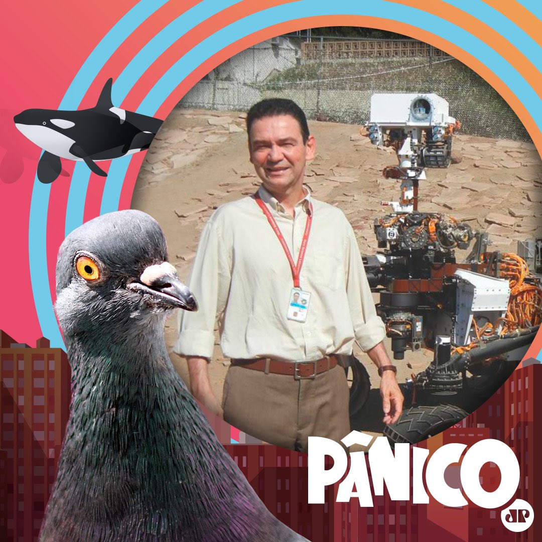 Programa Pânico @programapanico Timeline, The Visualized Twitter ...