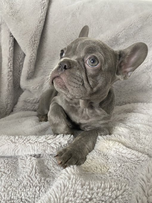 TW Pornstars - Rharri Rhound. Pictures and videos from Twitter. Page 8