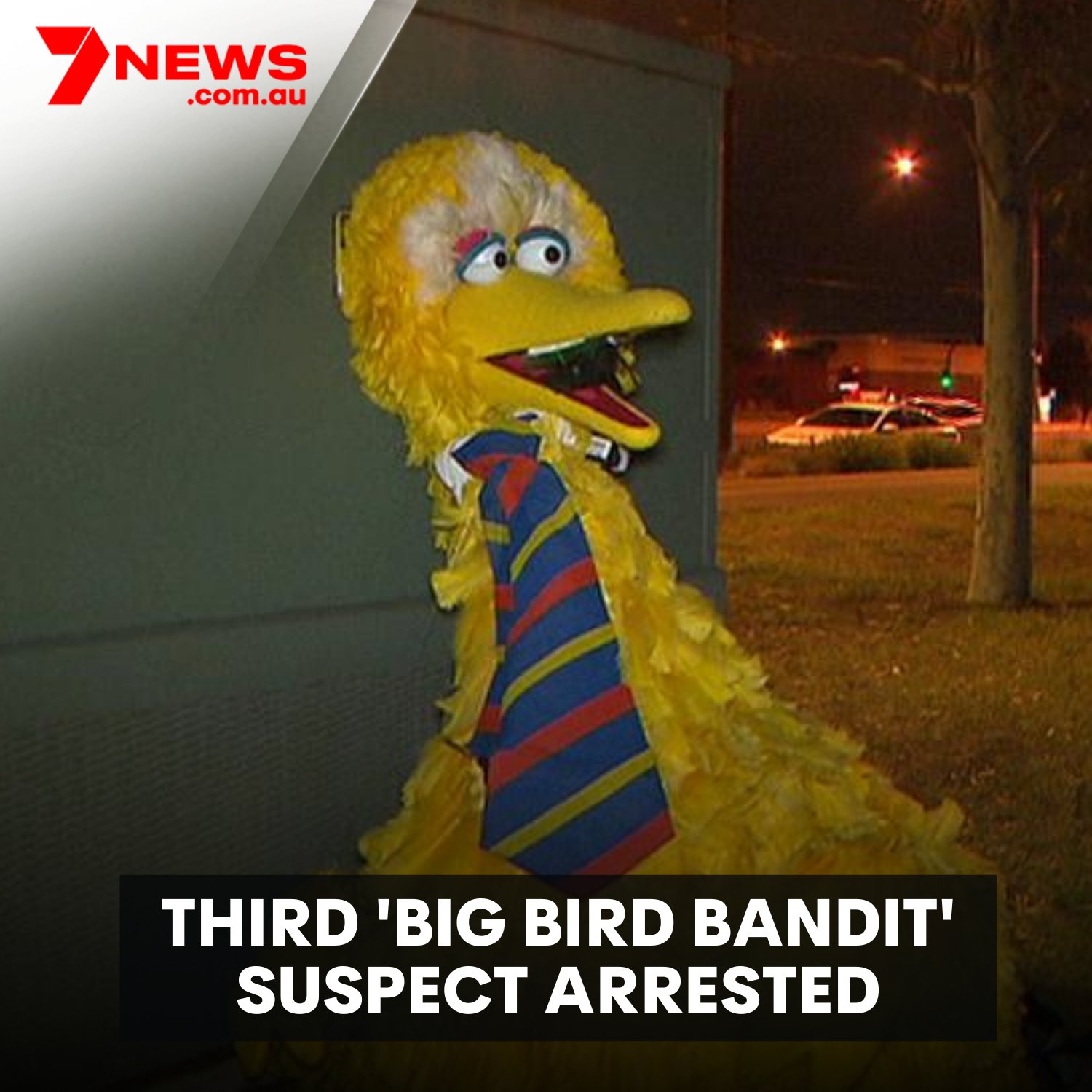 Big Bird Arrested