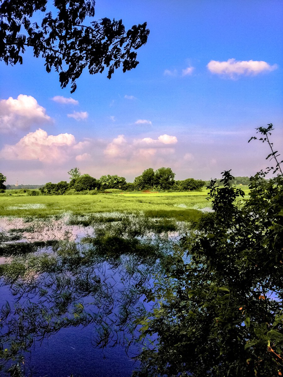 Md.Arman Hosen Bappy (@BAPPY____) | Twitter