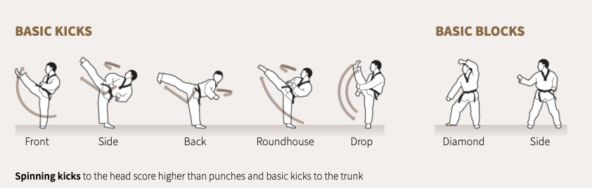 Taekwondo Kicks Names