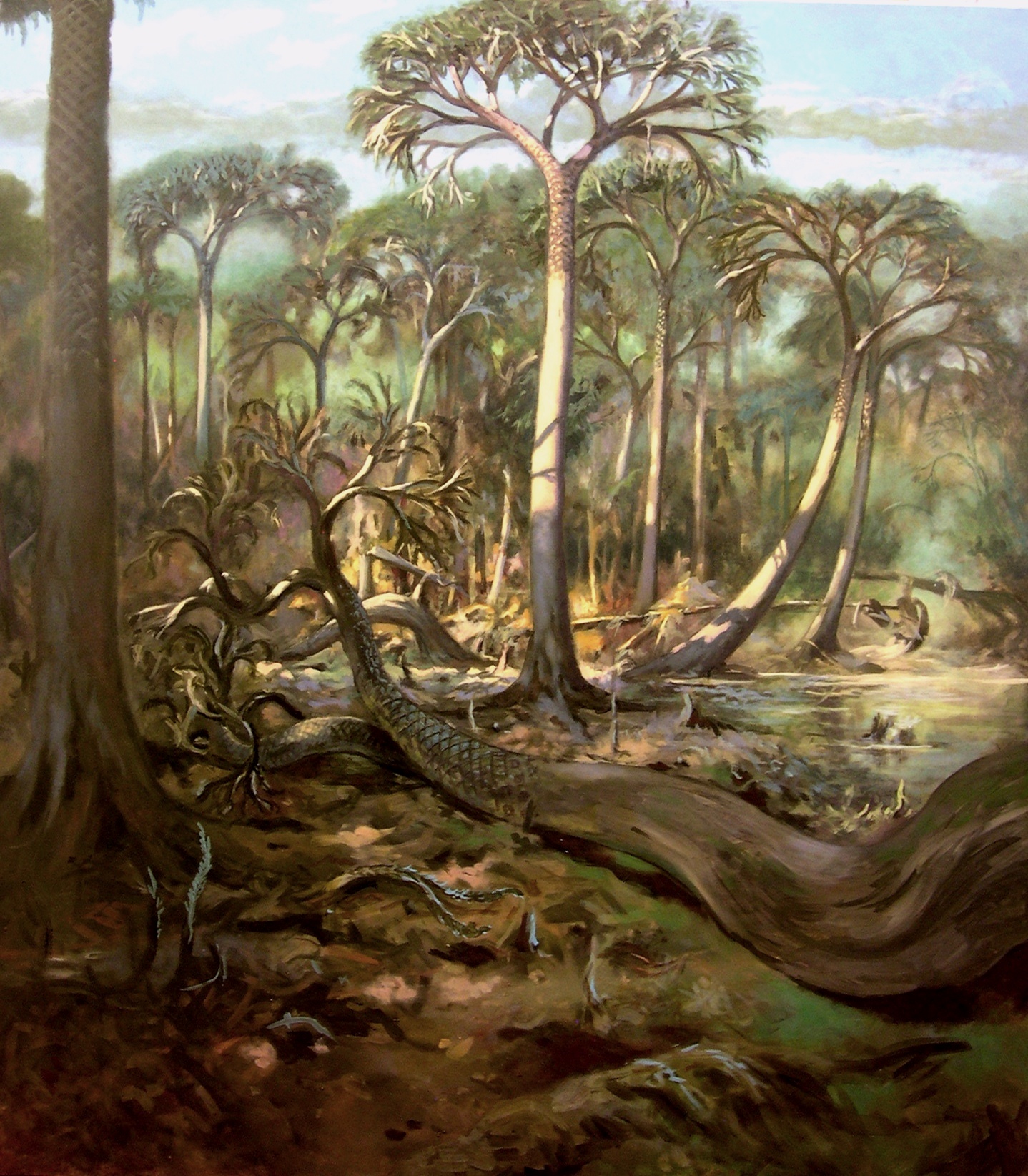 Lepidodendron Forest