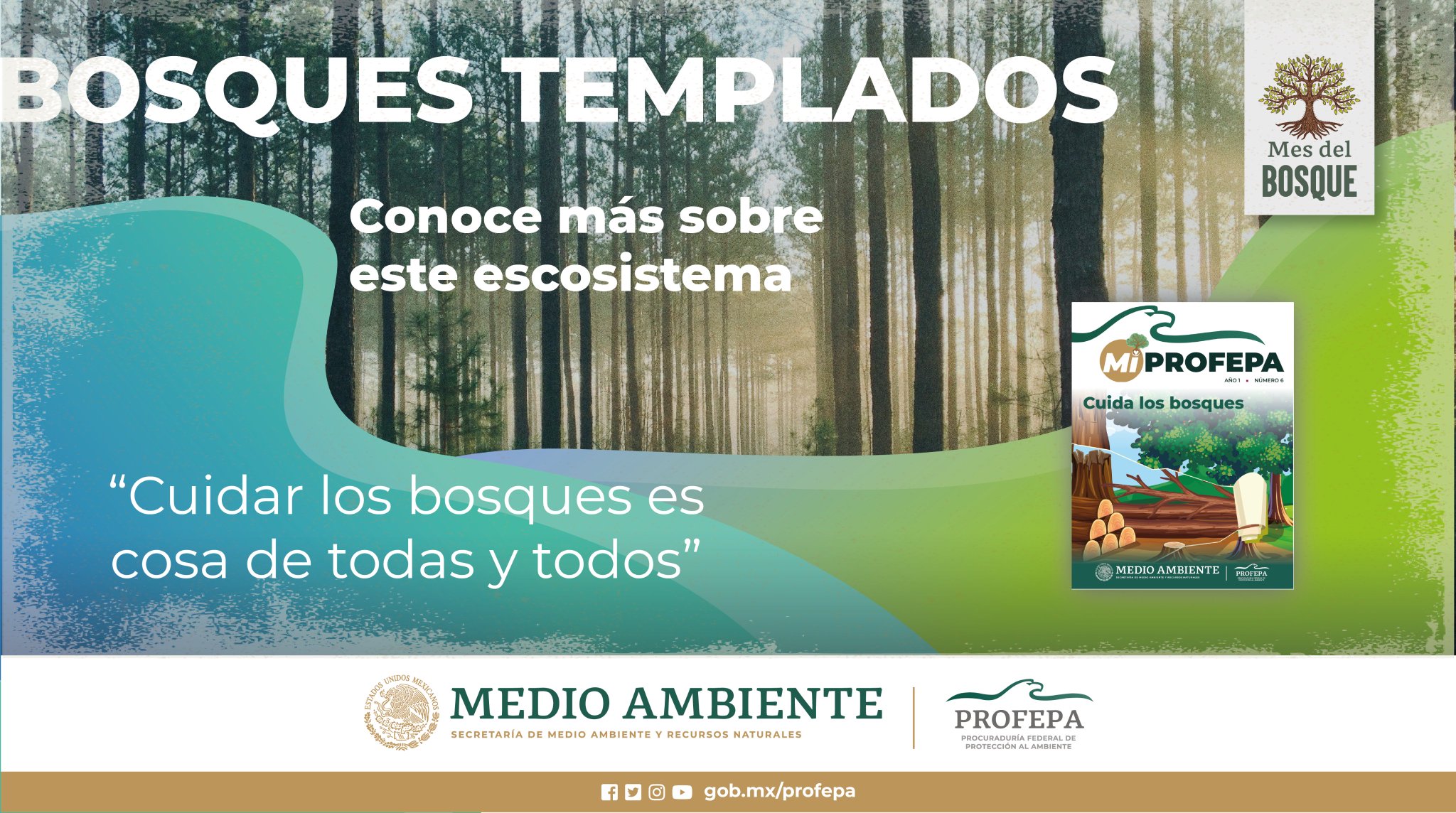 PROFEPA on Twitter: PROFEPA on Twitter: