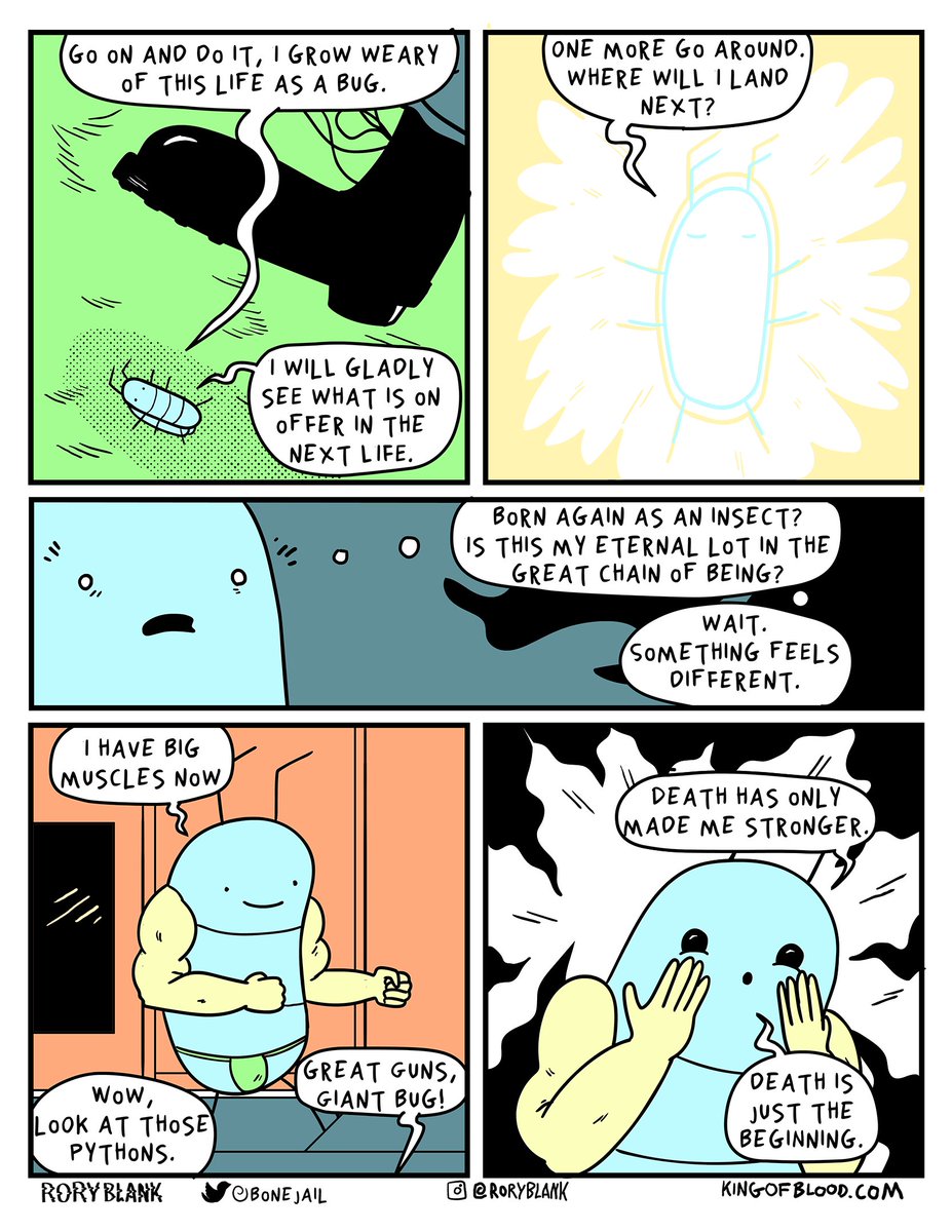 「Dougie The Hyper-Dimensional Cube Who is Also a Greaser Gets」Rory ...