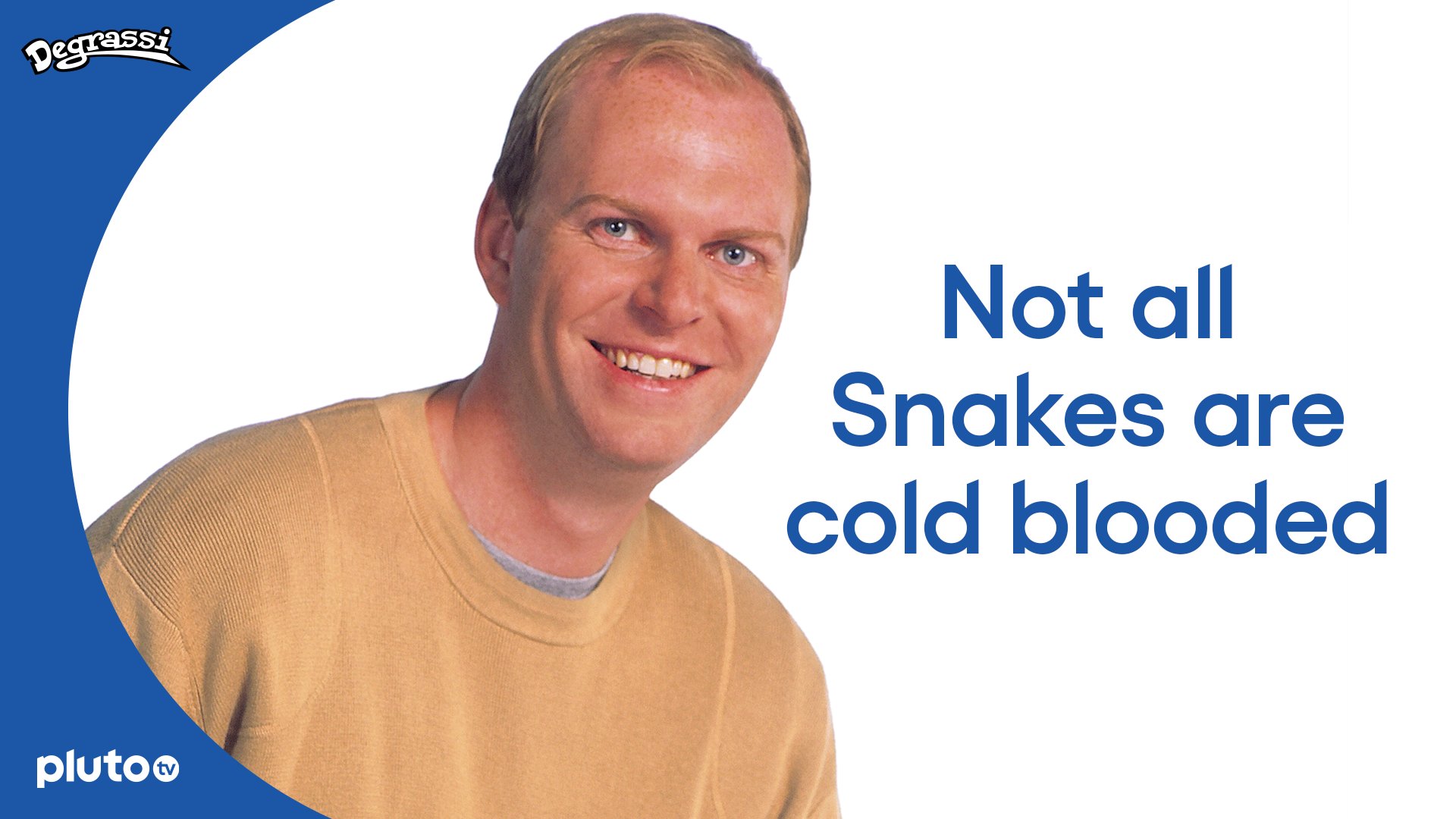 Pluto TV on Twitter: "Media Immersion teacher by day...THE ZIT REMEDY GUITARIST BY NIGHT! # ...