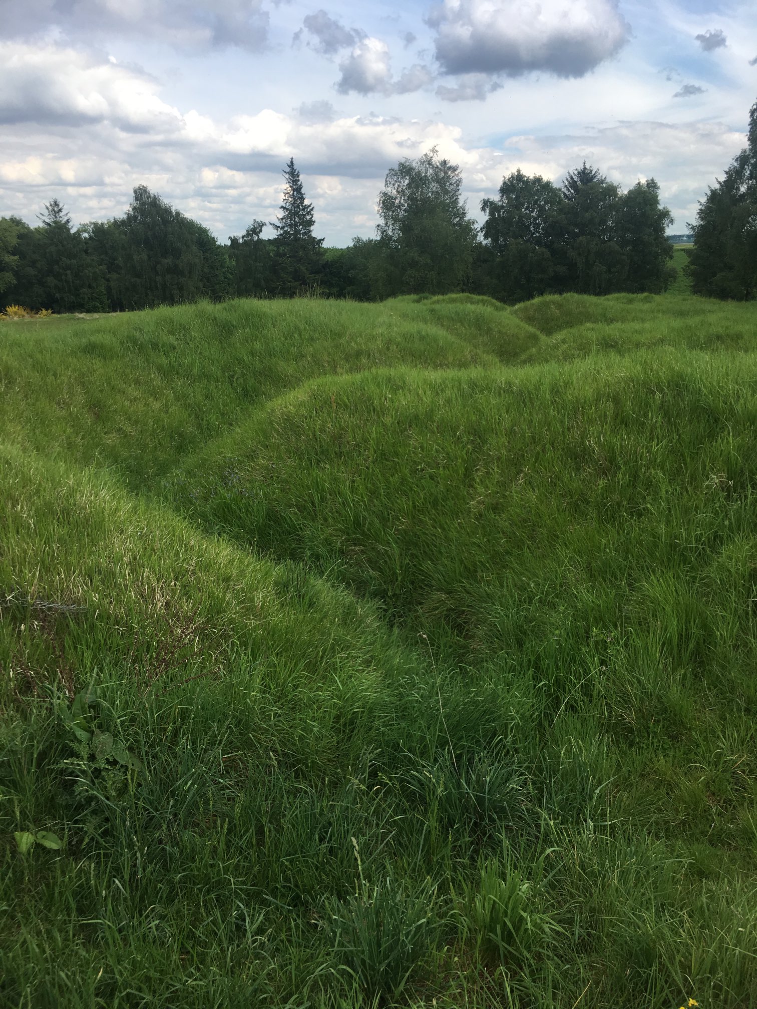 Ww1 Trenches Today