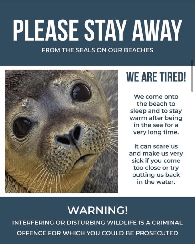 📚SusieP📚 on Twitter: "Heading to the Coast this weekend?? Keep Safe ...