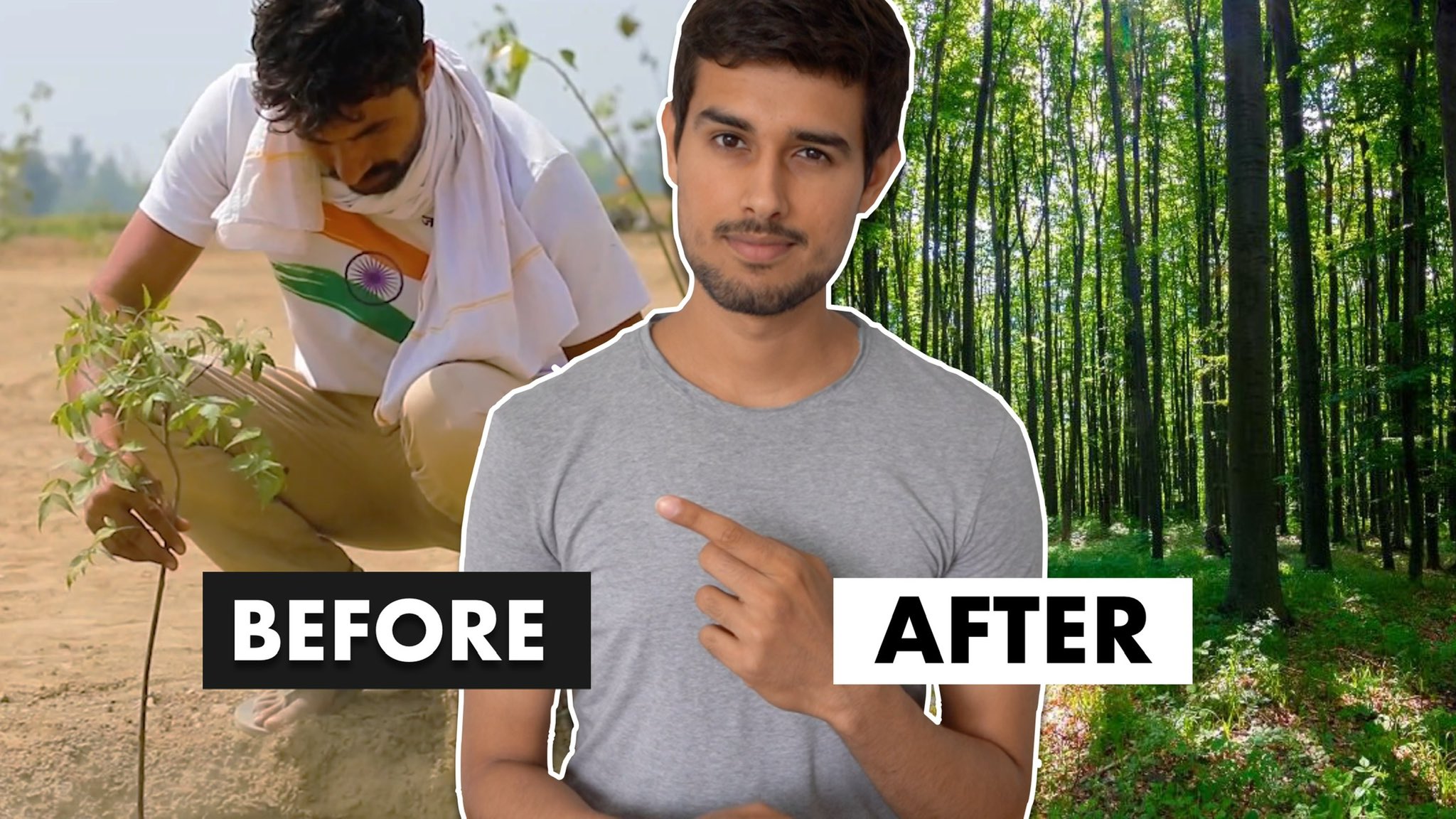 The Tree Man Before And After