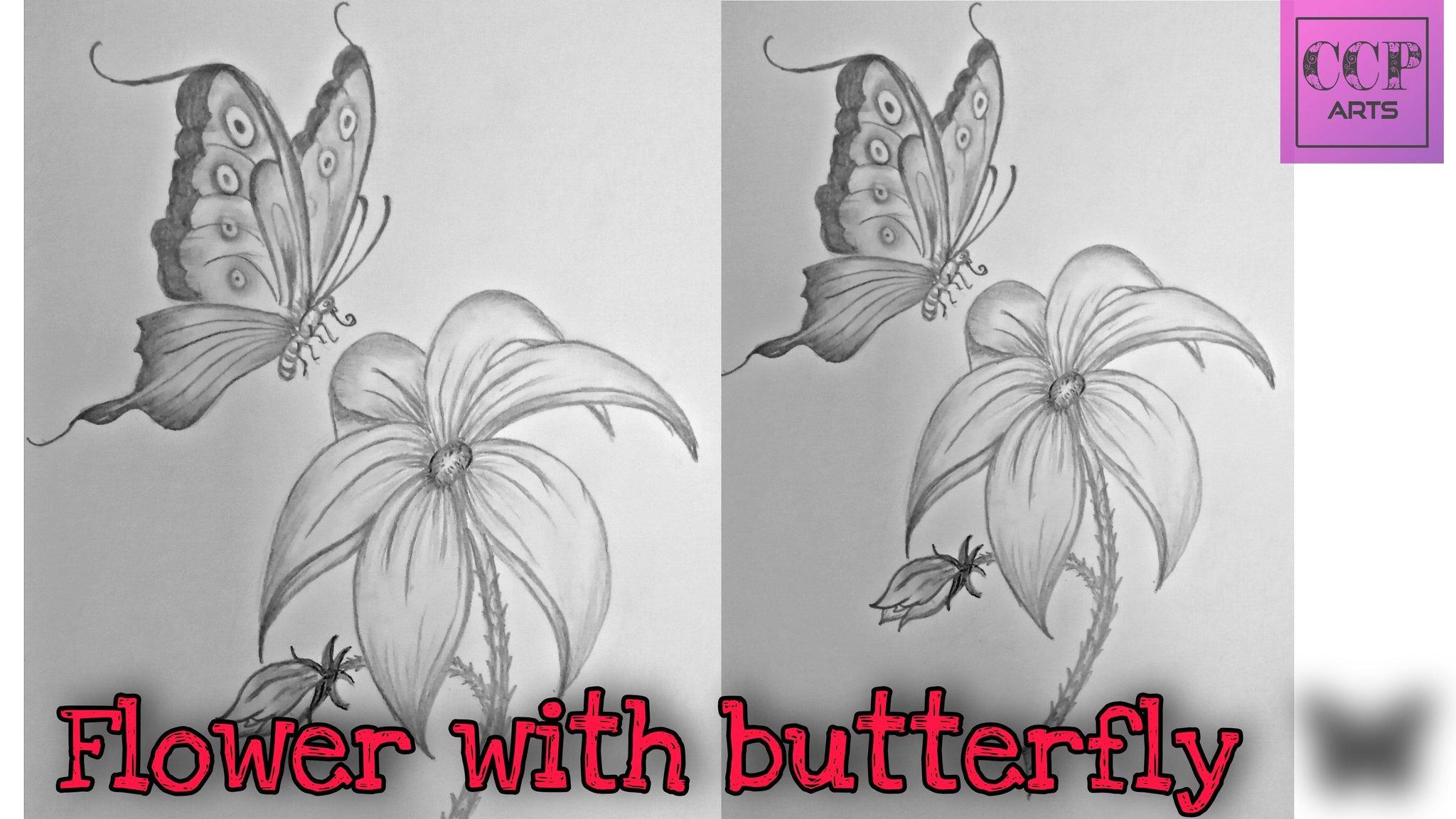 Butterfly And Flower Designs Drawing