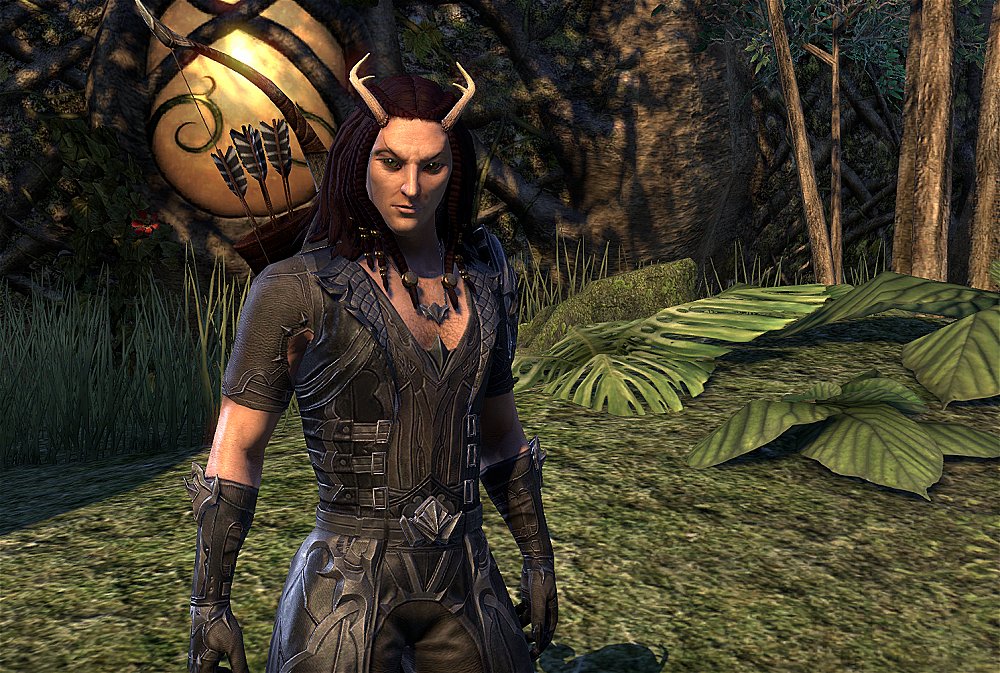 Bosmer Elder Scrolls Online