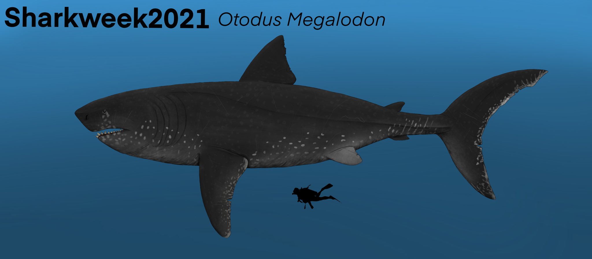 Grug on Twitter: "Decided for #SharkWeek2021 I’d redo my Megalodon ...