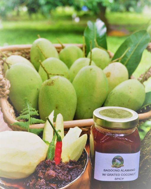 Green Mango With Bagoong