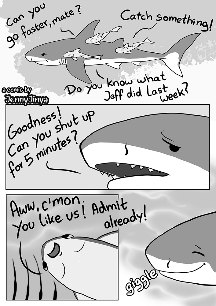 Sad Shark Finning