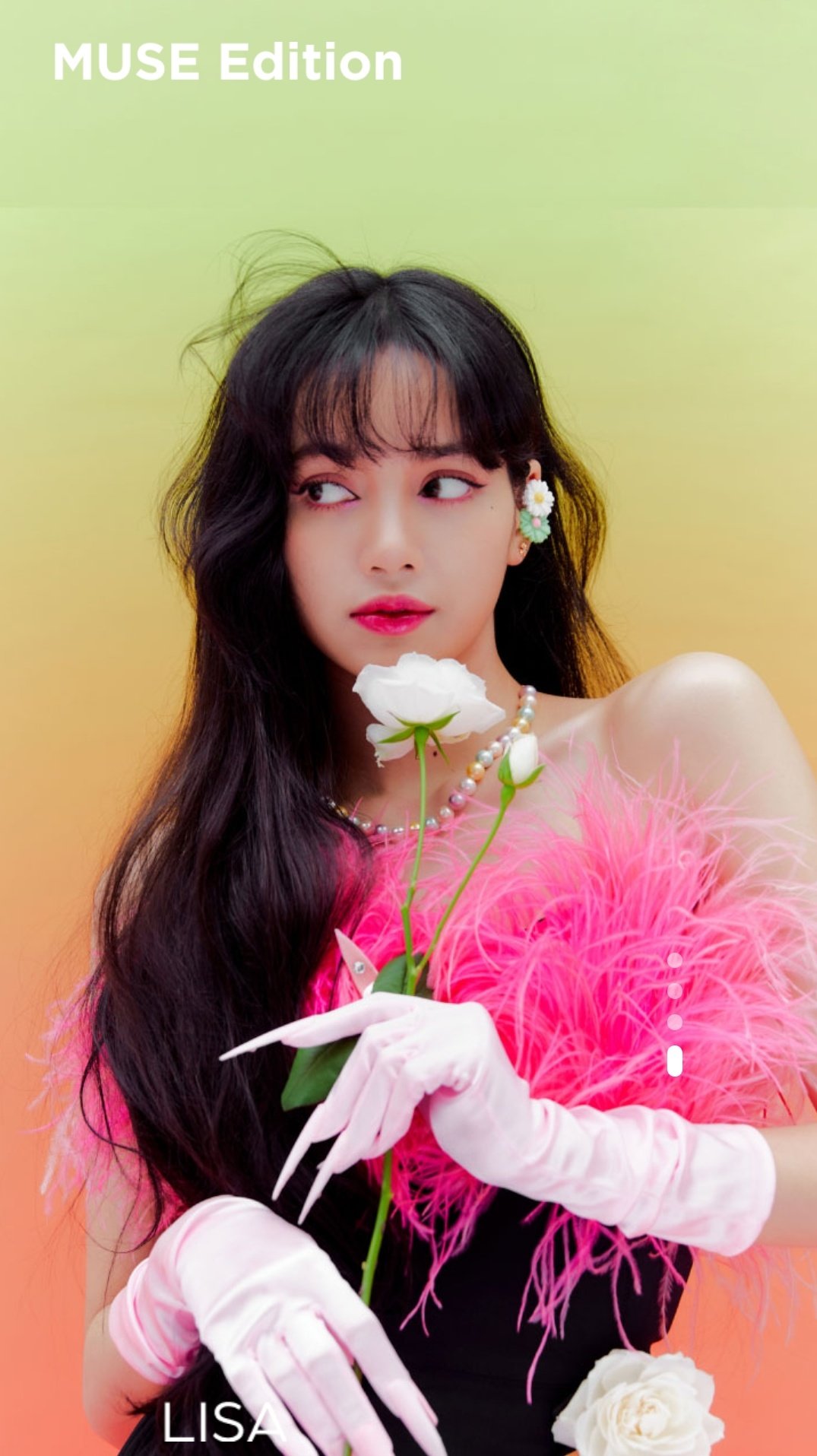 LISANATIONS on Twitter: "[PHOTOS] LISA X BCcard 🔗 https://t.co ...