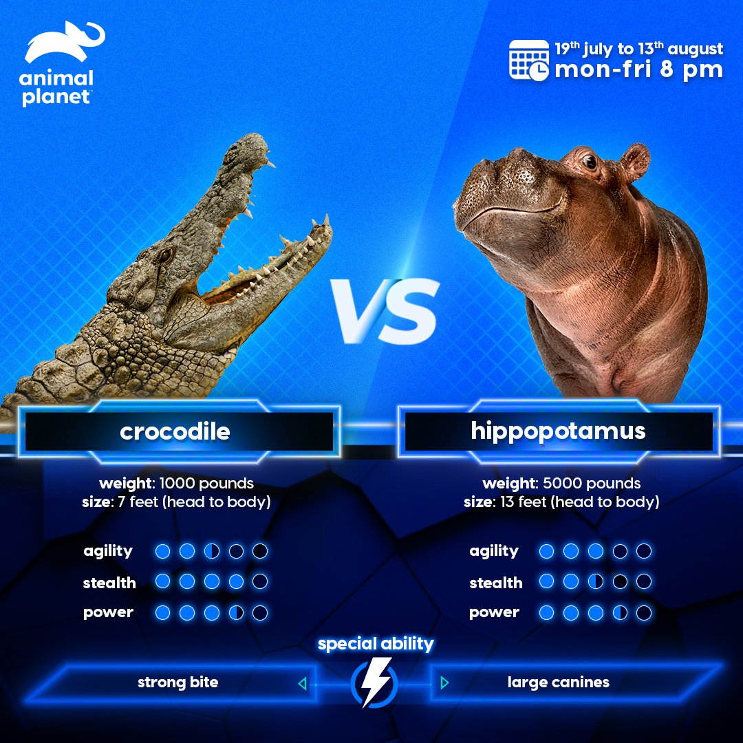 Animal Planet Games
