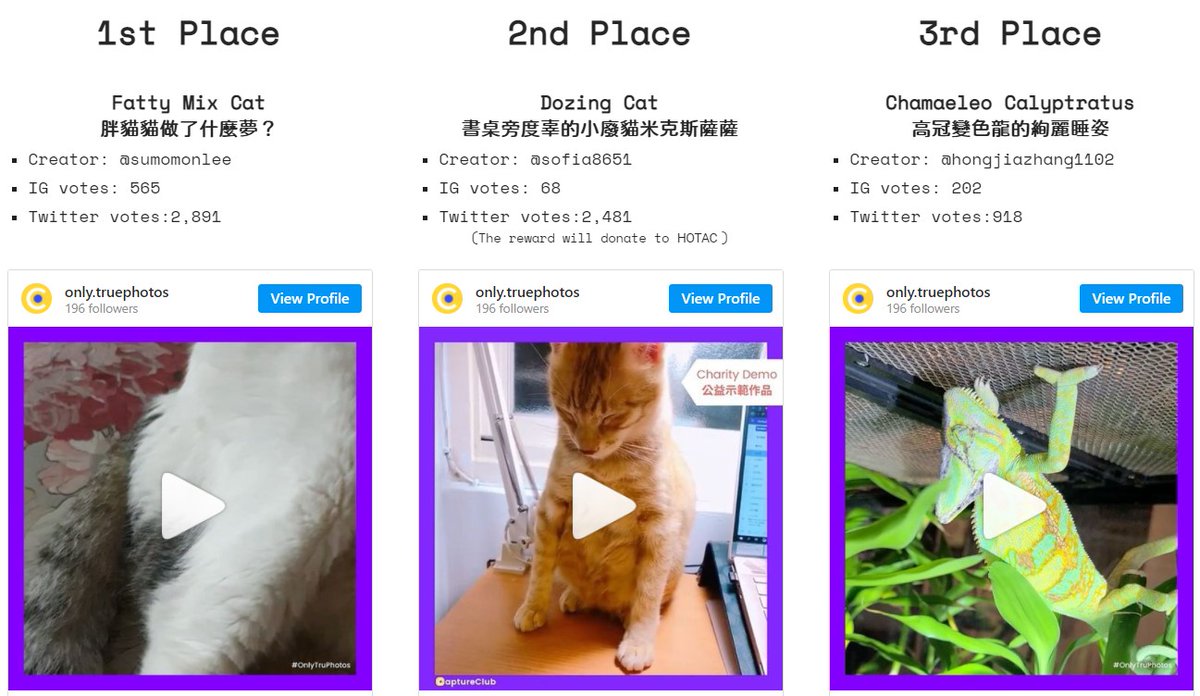 Sofia Yan (@sofia_numbers) | Twitter