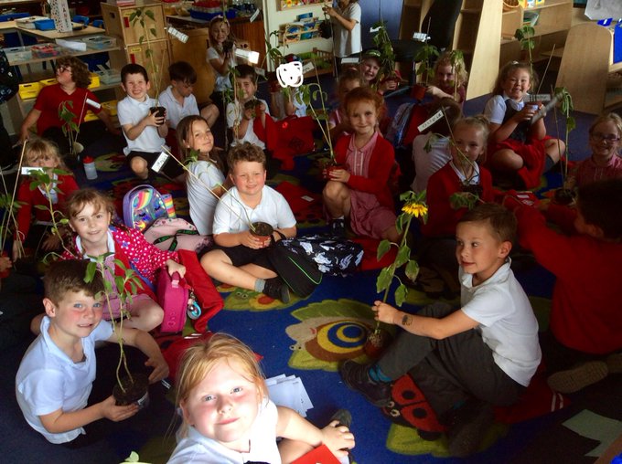 Penryn Primary Academy