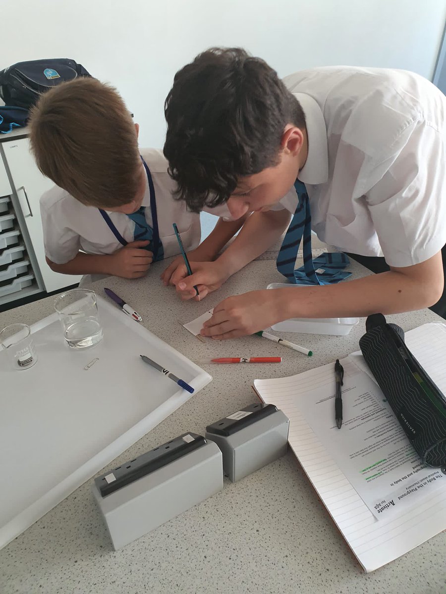 Harris Academy Sutton