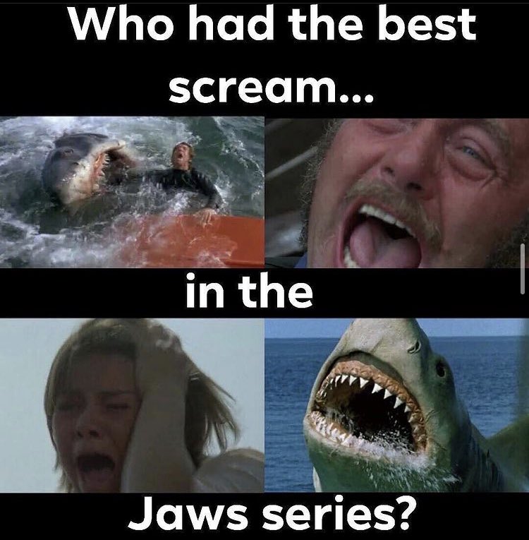 Scream Movie Meme