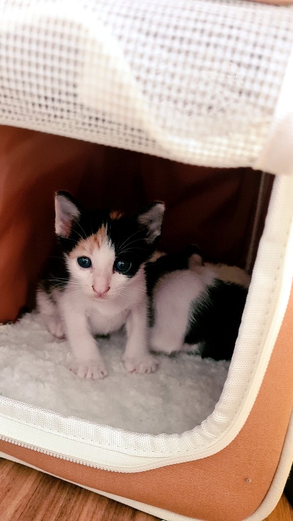 Ratchanee.P (@RatchaneeP3) | Twitter