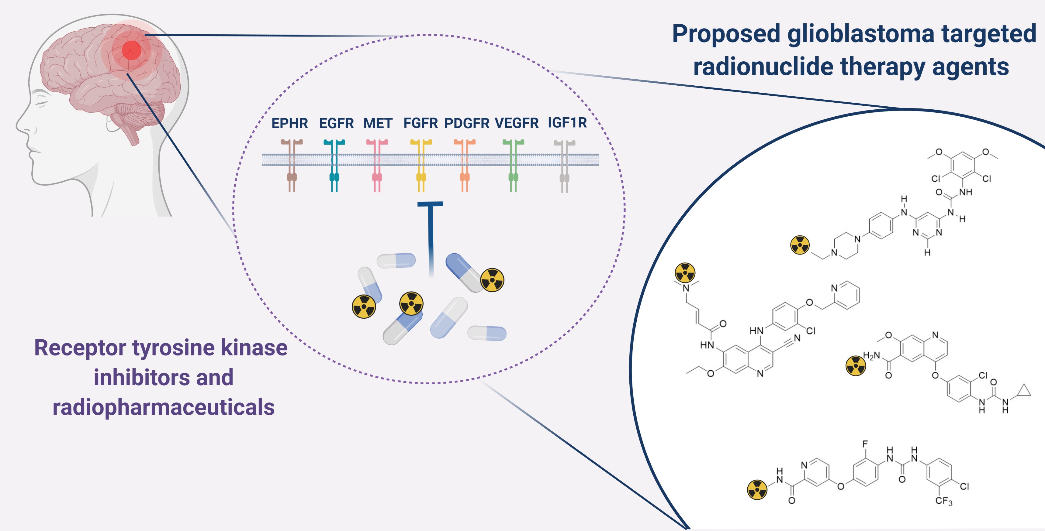 Receptor Tyrosine Kinase Pathway