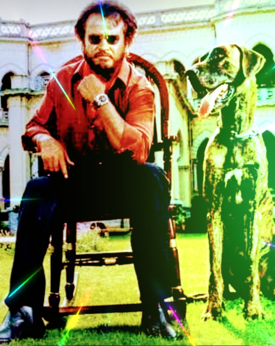 Basha Rajini Dog Stills