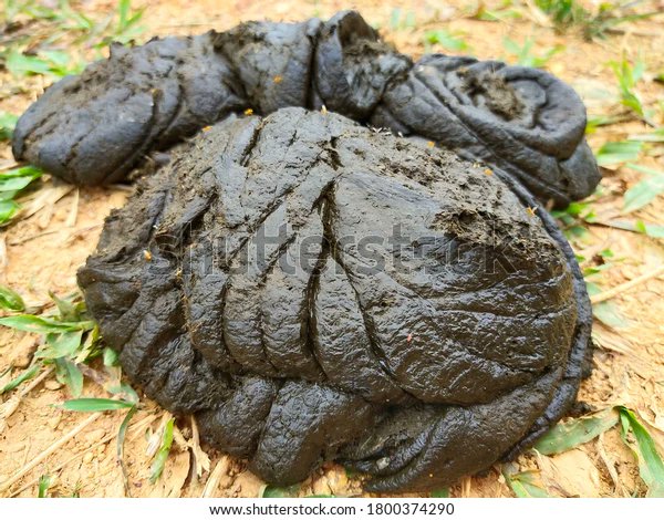 Thread by @Black_Nobilliti on Thread Reader App – Thread Reader App