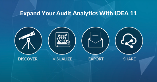 Caseware idea audit - polresample