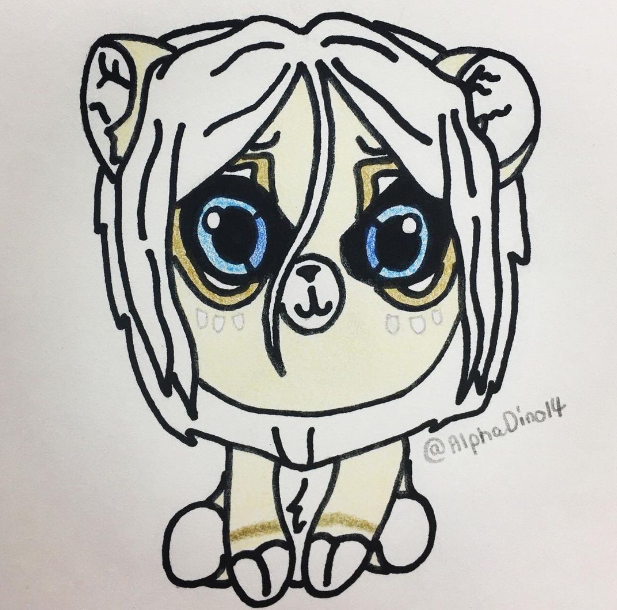 Lps Husky Drawings