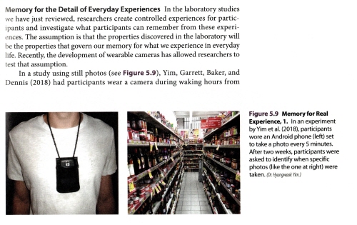 Computational Cognition & Development Lab. (@compcogdev) | Twitter