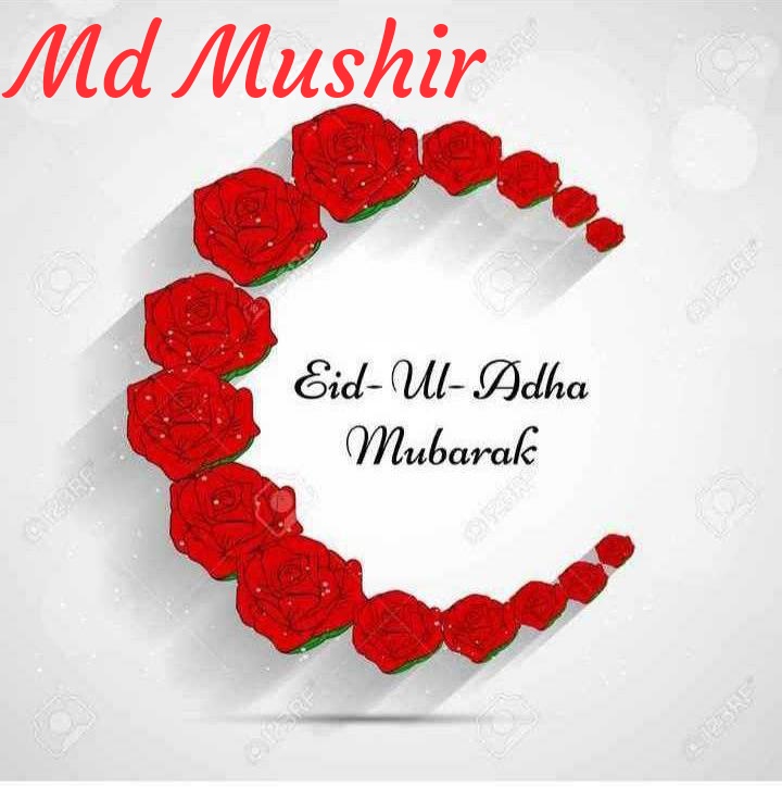Md Mushir (@MdMushir12) | Twitter