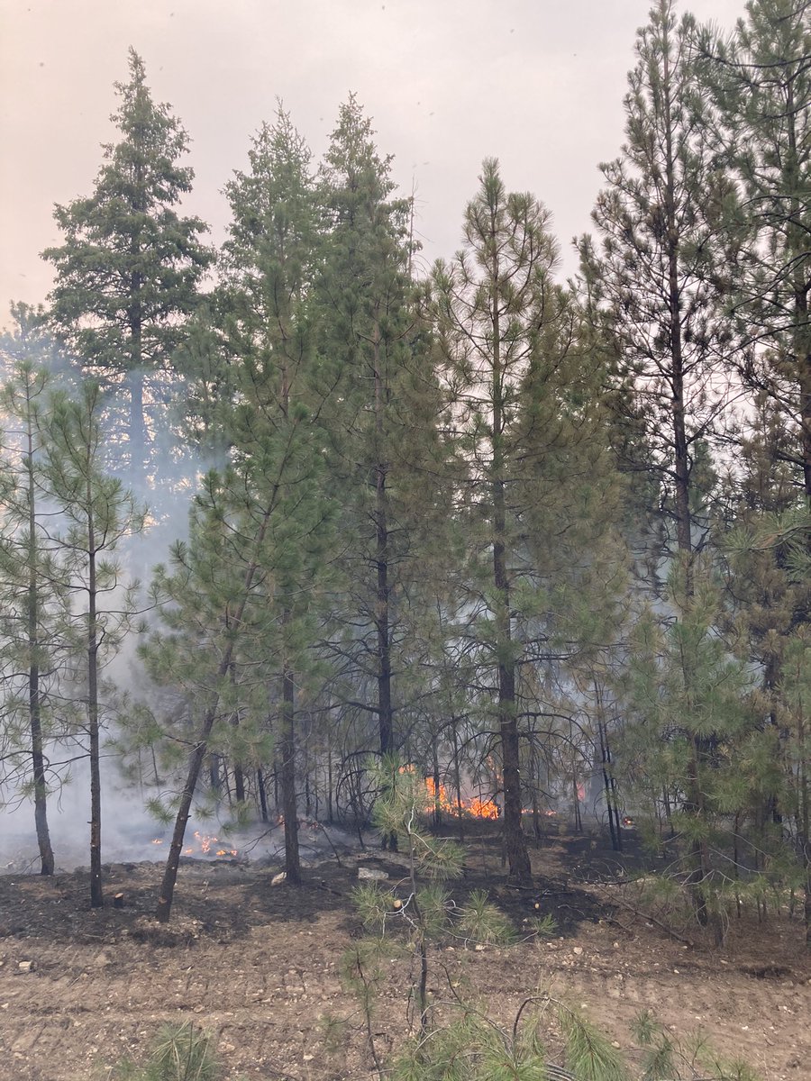 Fires Near Silverton Oregon Oregon Sees First Big Fires Of The Season ...