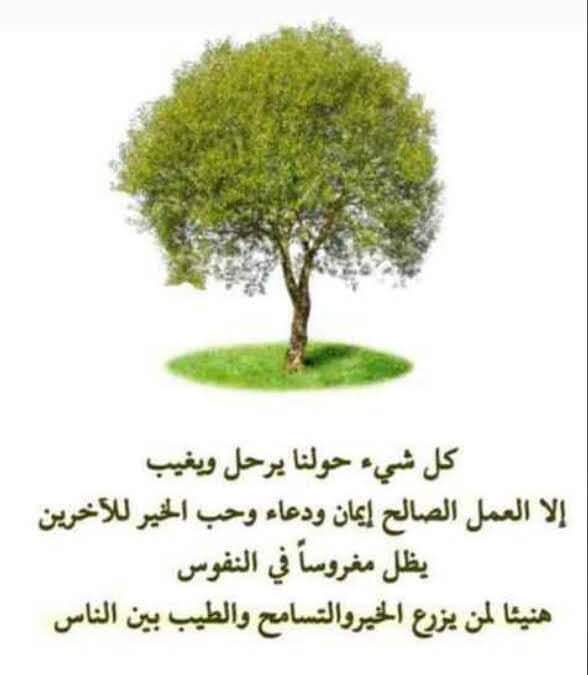 eng elsayed@gmail.com (@YelsayedEng) | Twitter