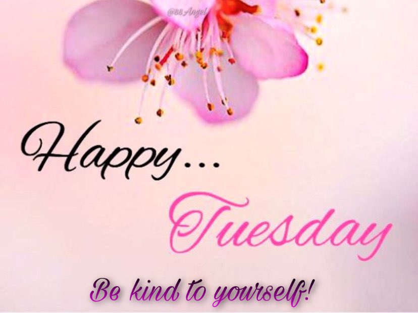 Inspirational Happy Tuesday