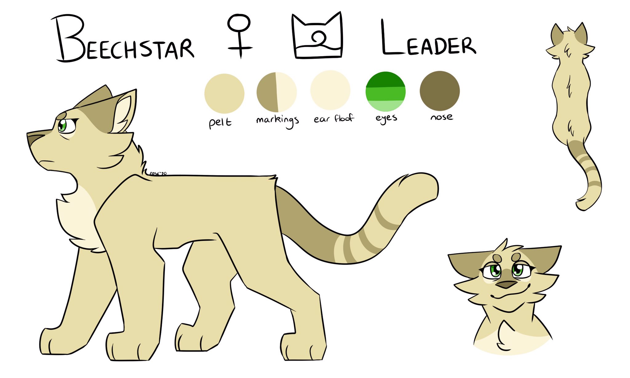 Warrior Cats Windclan Leaders